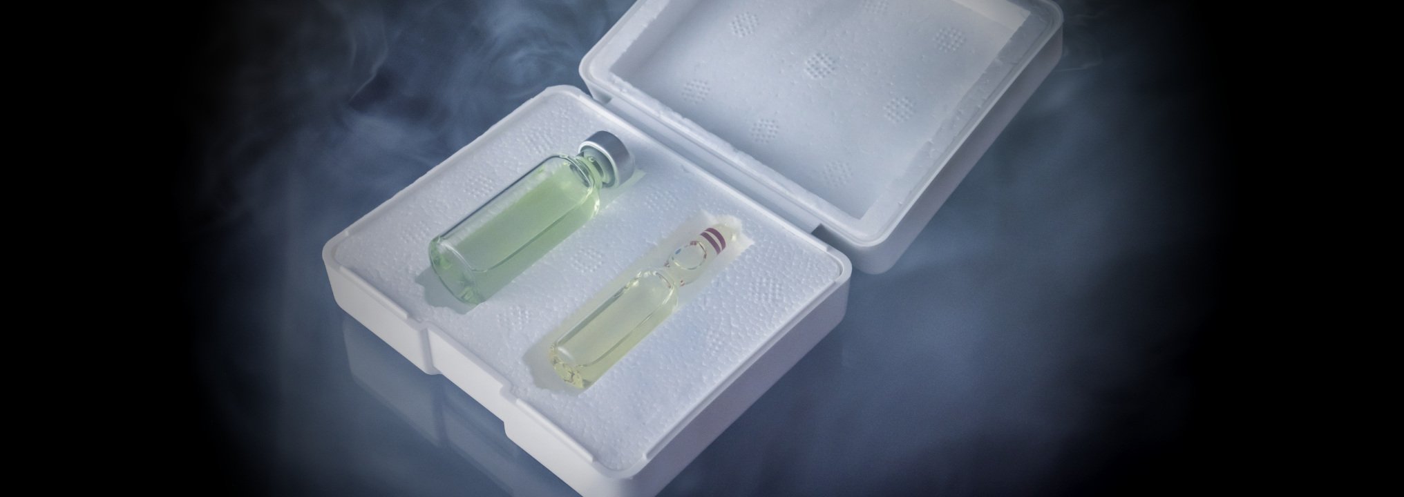 Shipping Validation and the Importance of the Cold Chain in the ...